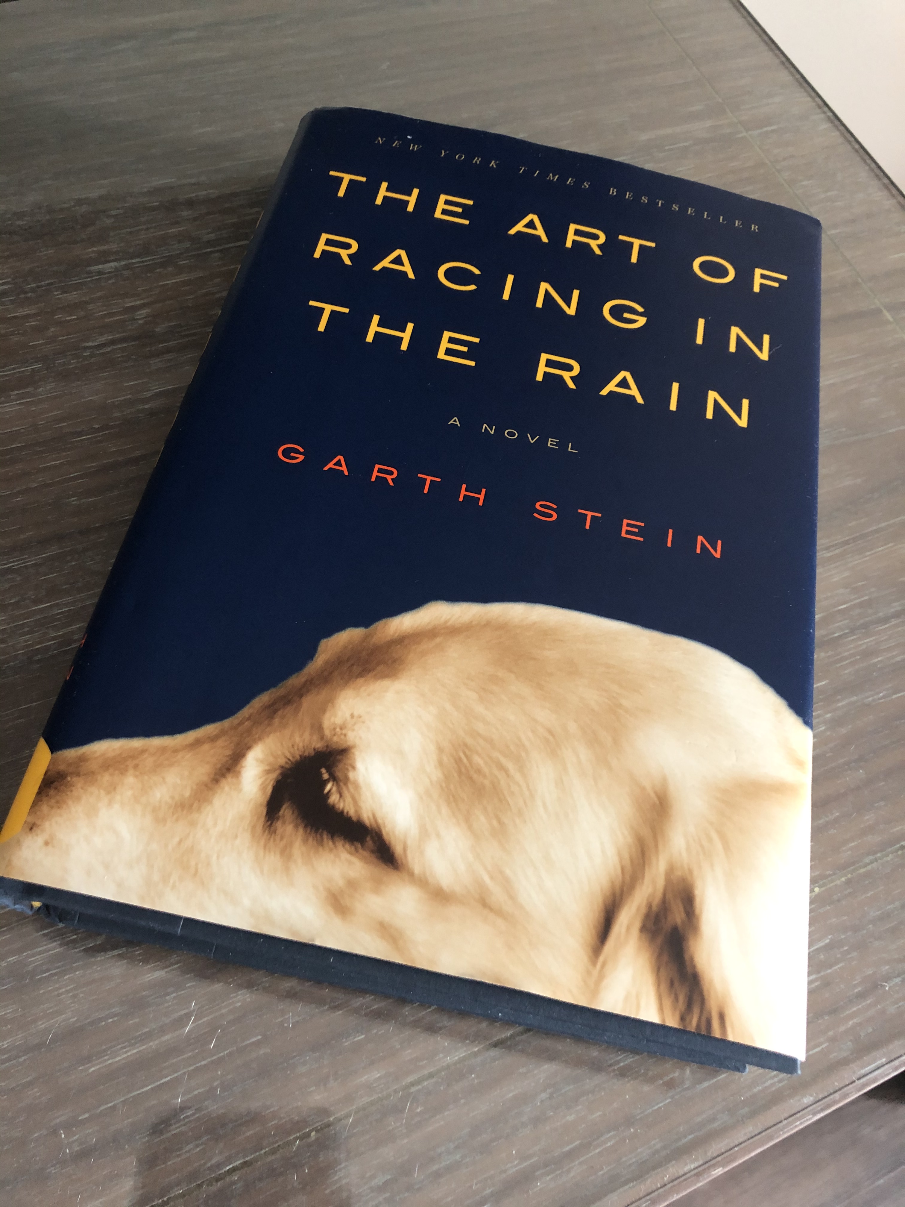Book Review: The Art of Racing in the Rain – The Hermits' Rest