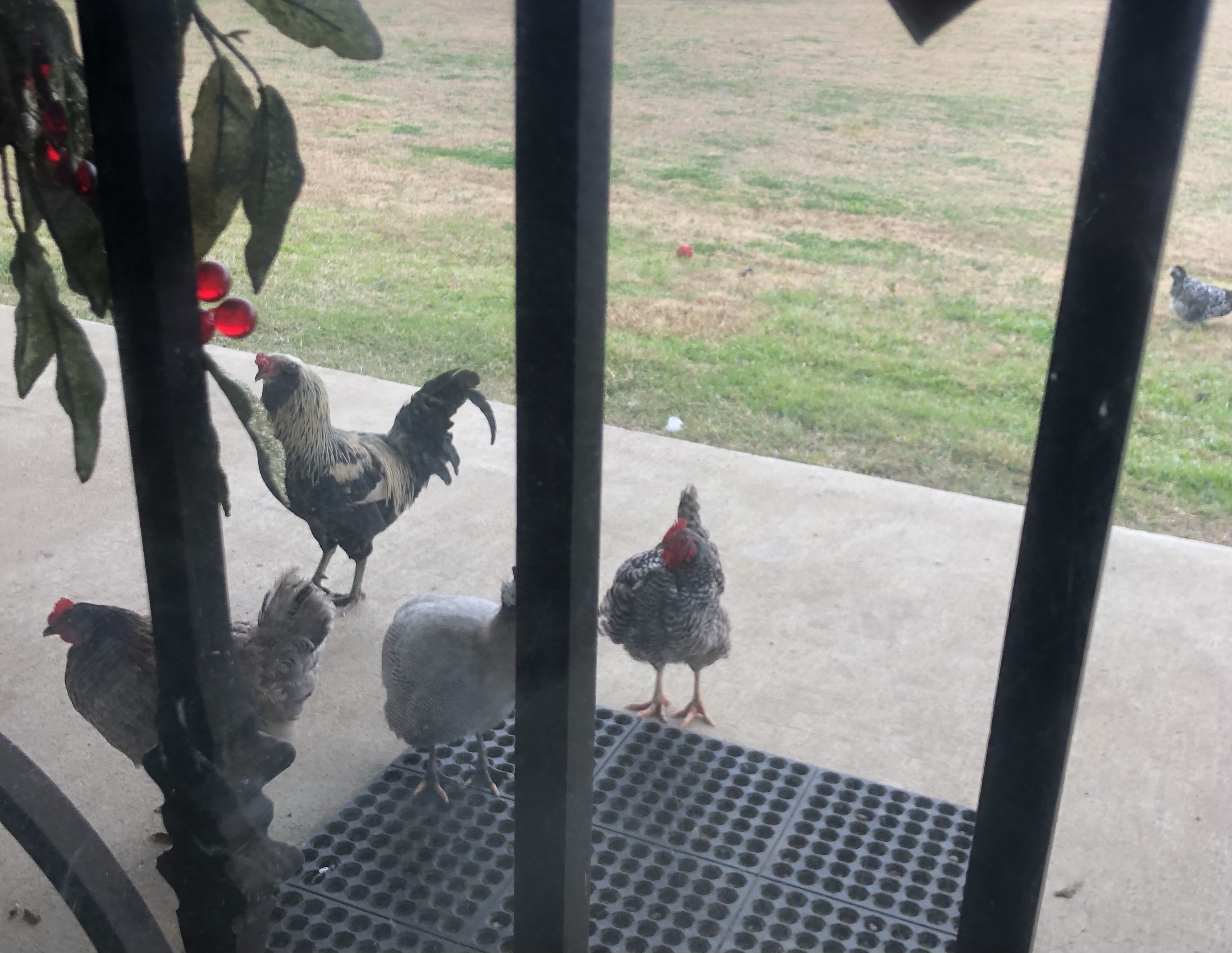 Thinking about Dealing with Bullies – The Hermits' Rest