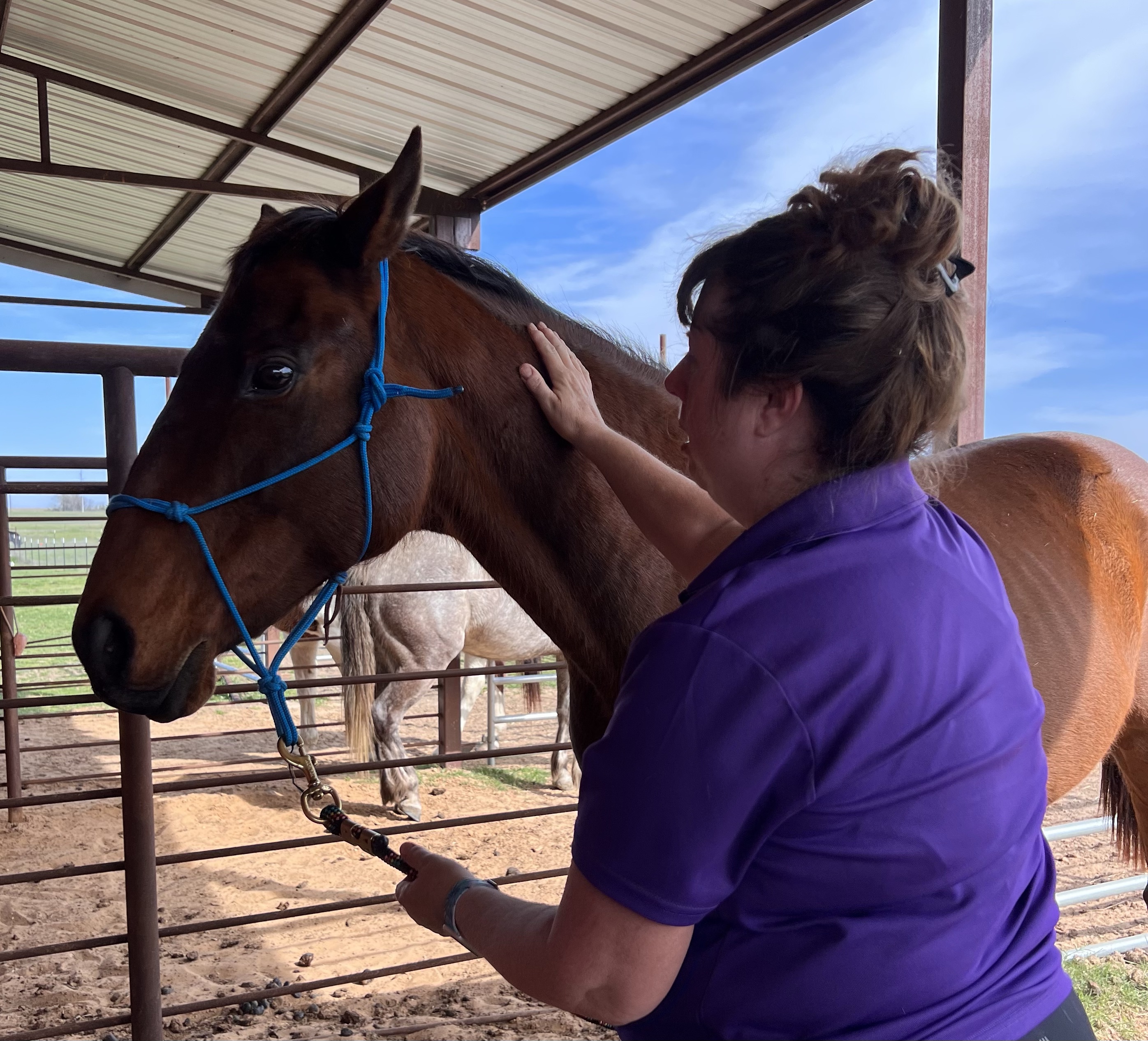 Mabel Is a Real Horse – The Hermits' Rest