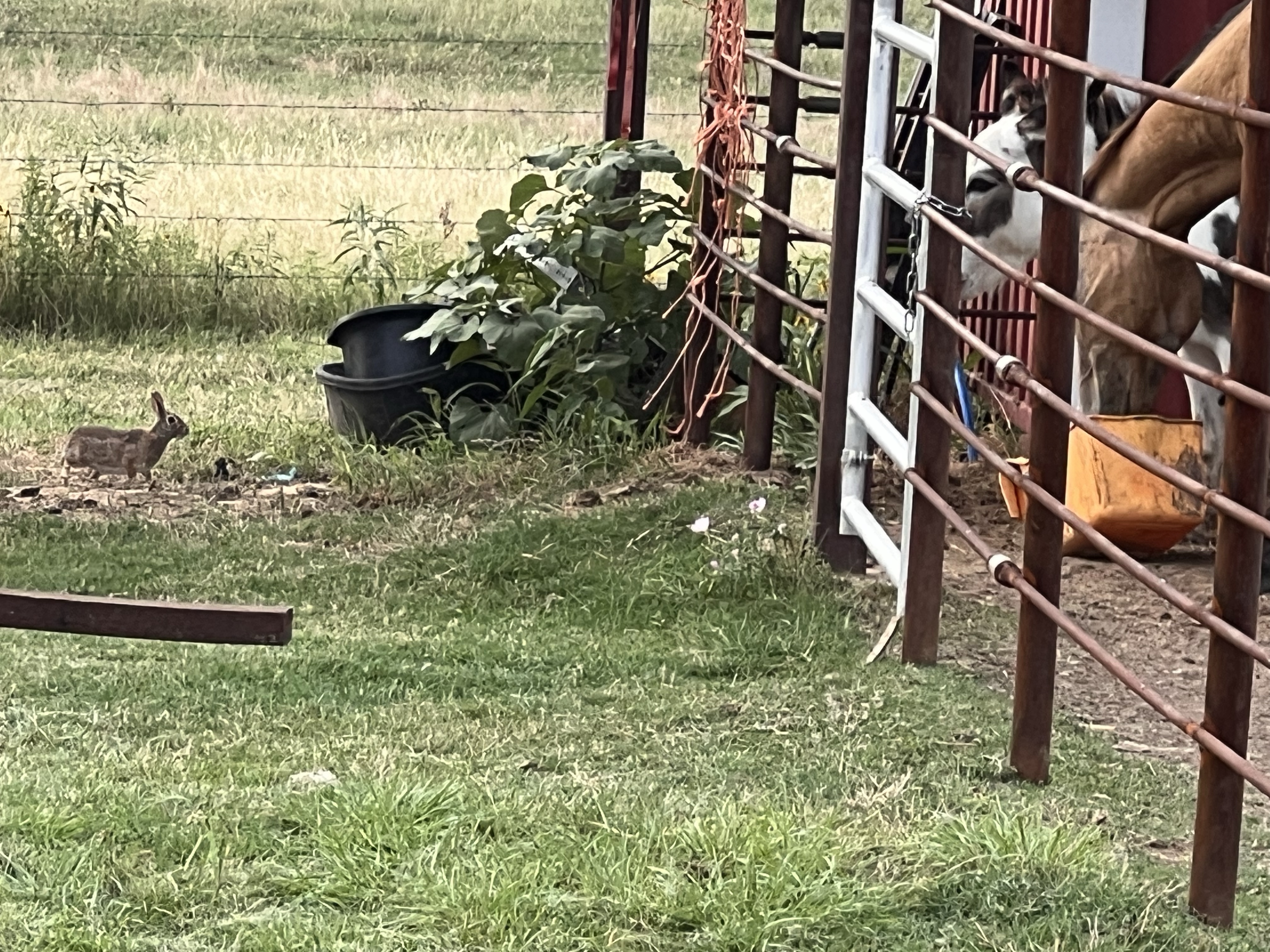 Living in a Zoo – The Hermits' Rest