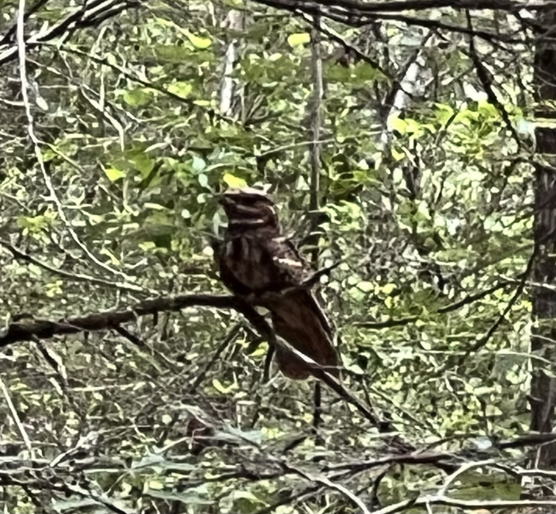 Just the Highlights – The Hermits' Rest