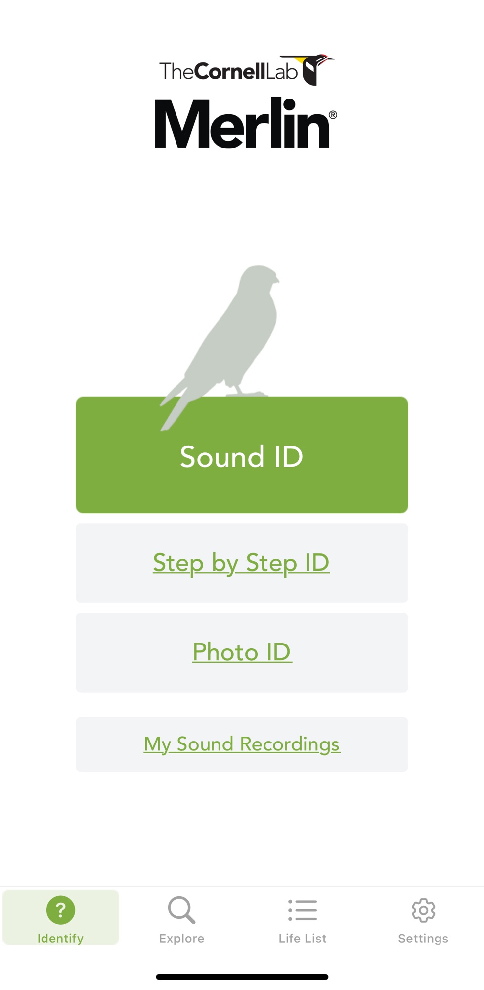 Insights about Merlin Bird ID – The Hermits' Rest