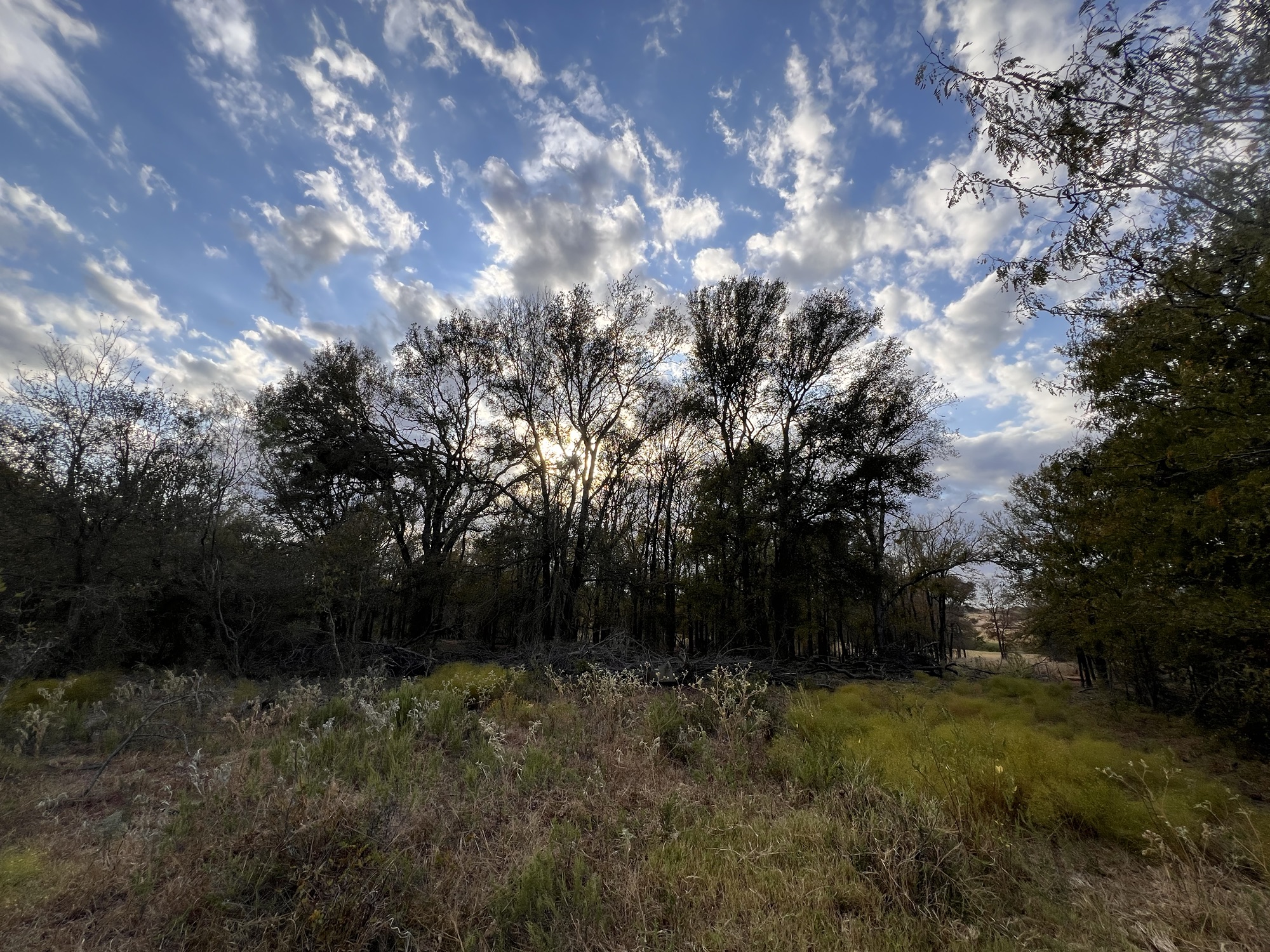 We All Should Know – The Hermits' Rest