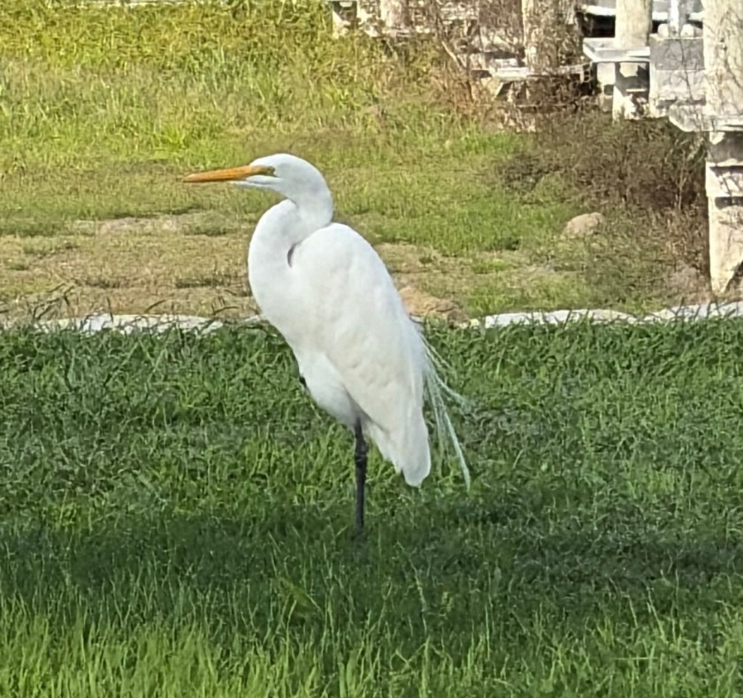 Little Holiday Gifts – The Hermits' Rest