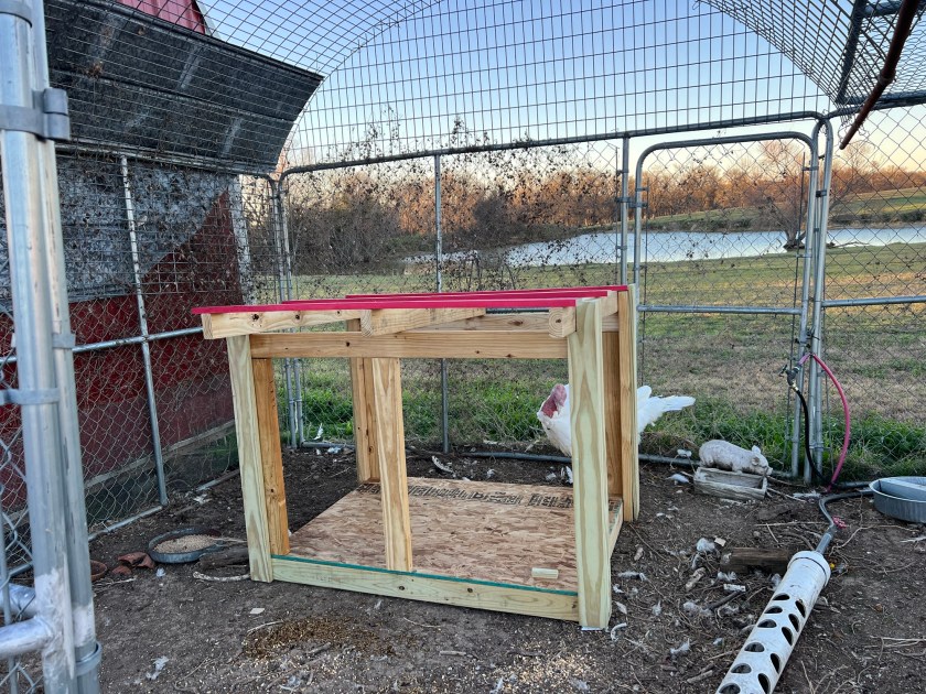 Happy Turkey, Grateful Human – The Hermits' Rest