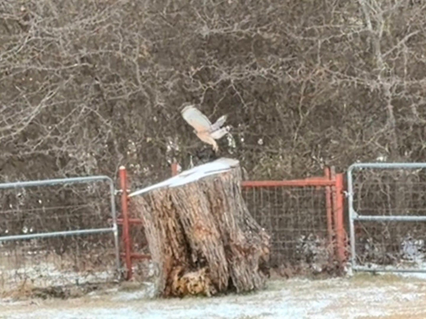 Cozy Cocoon – The Hermits' Rest