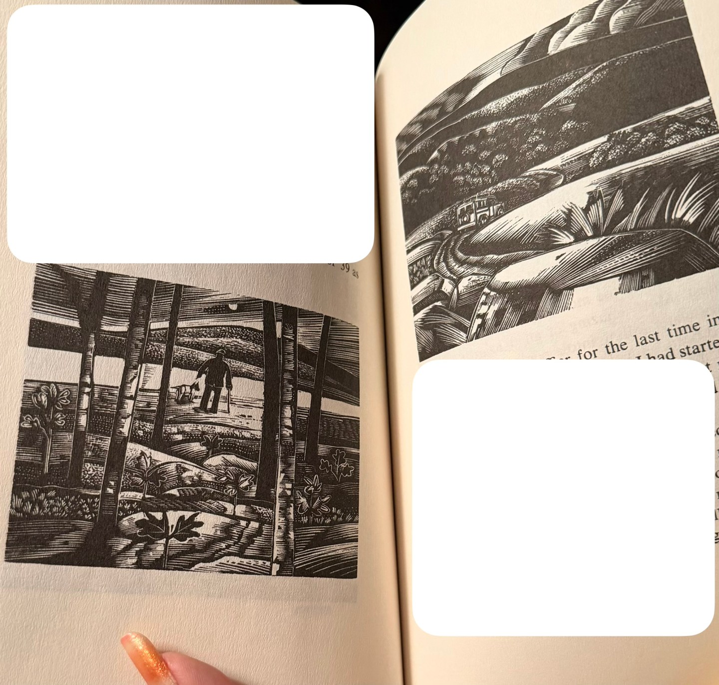 Book Report: The Man Who Planted Trees – The Hermits' Rest