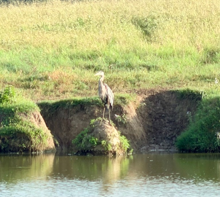 The great outdoors? It’s great! – The Hermits' Rest