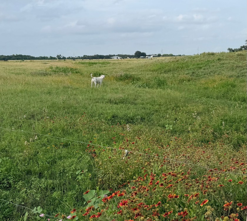 I think I’m slowing down – The Hermits' Rest